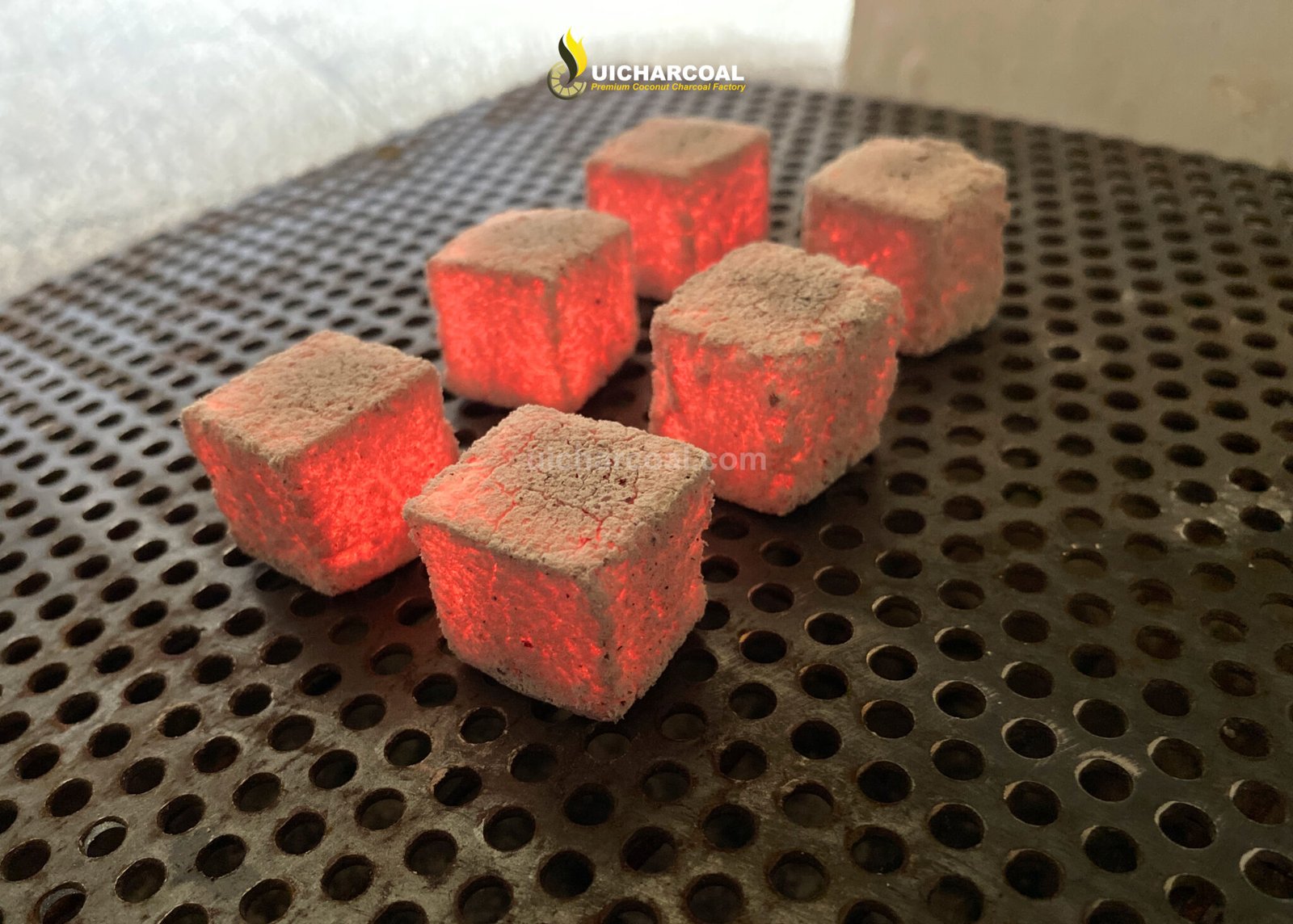 UICHARCOAL - Coconut Charcoal Briquettes Factory & Supplier